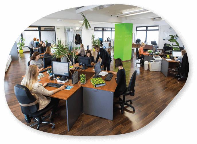 Potek prevoda | Leemeta prevajanje